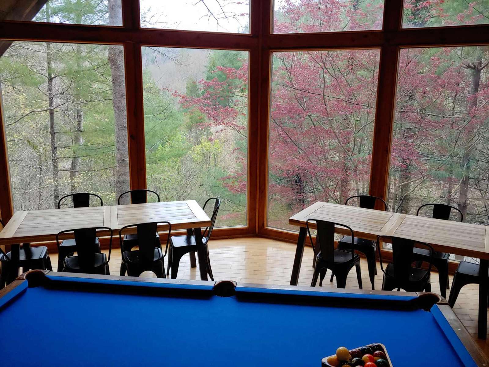 Scenic Cabin Rentals in Red River Gorge and Natural Bridge | Kentucky
