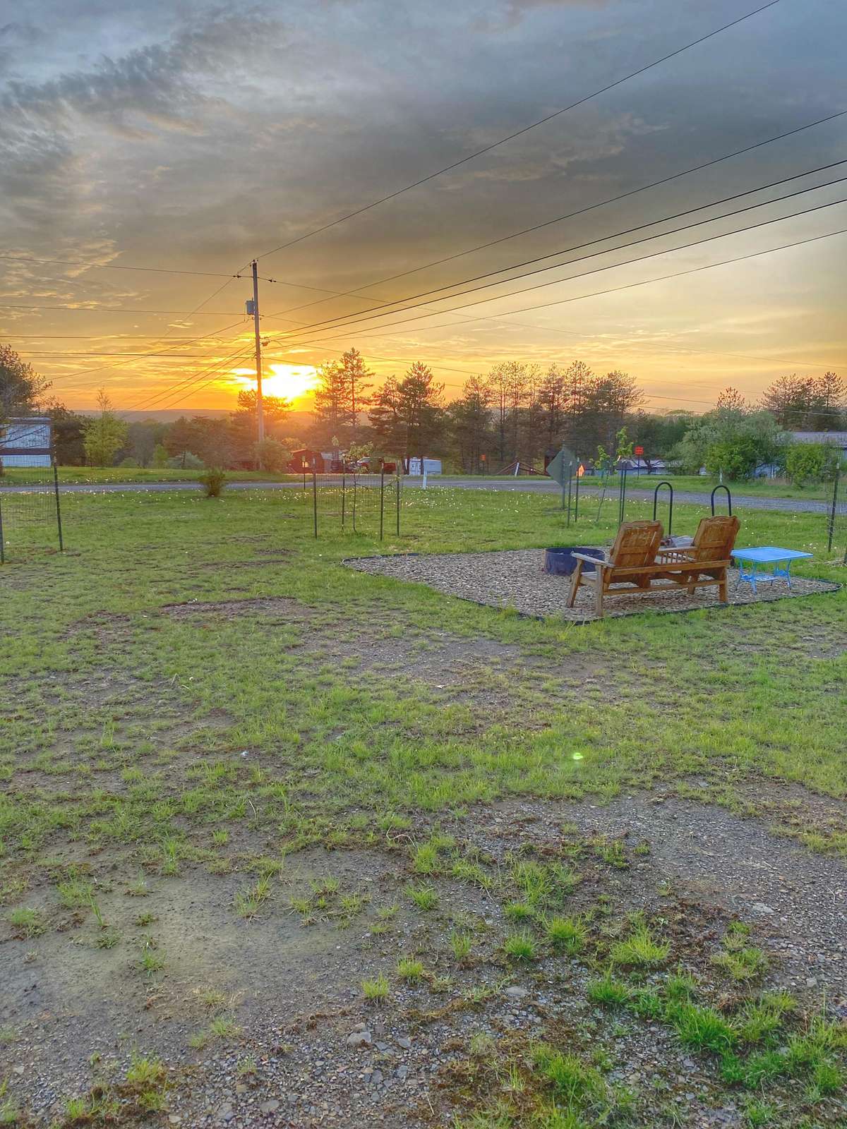 The Sapling | In The Sticks Cabins