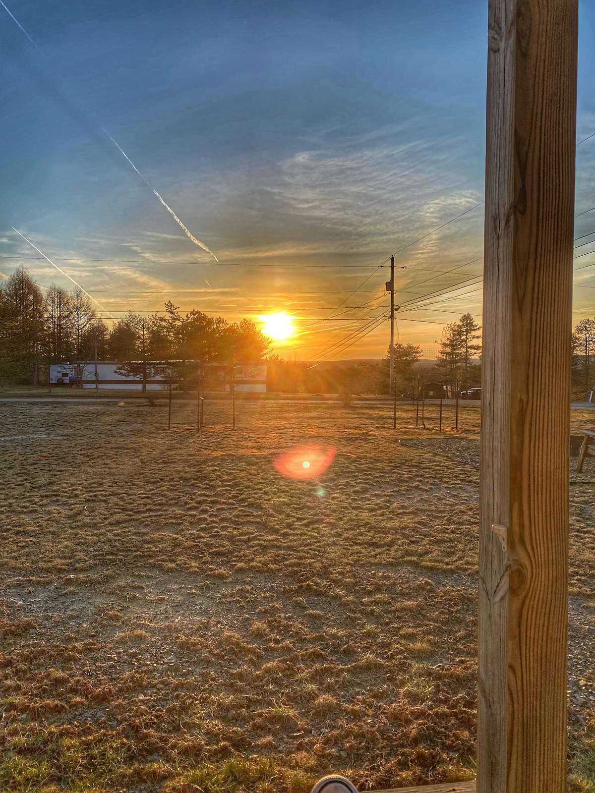 The Sapling | In The Sticks Cabins