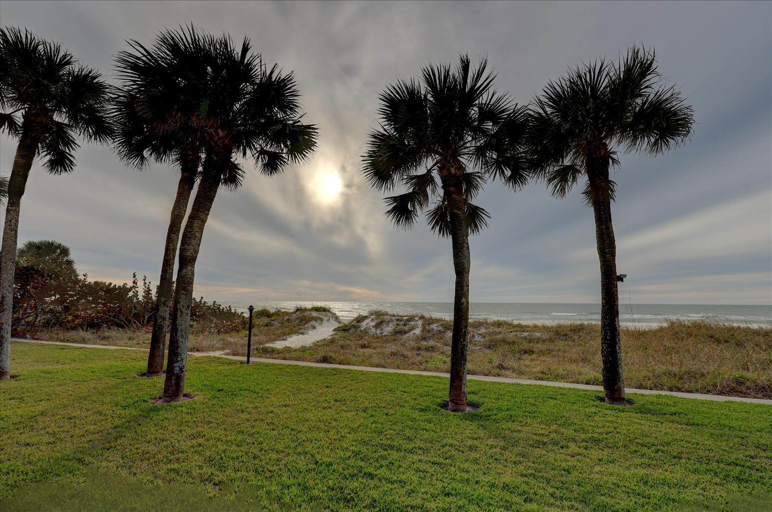 Unit 208 | Happy Fiddler