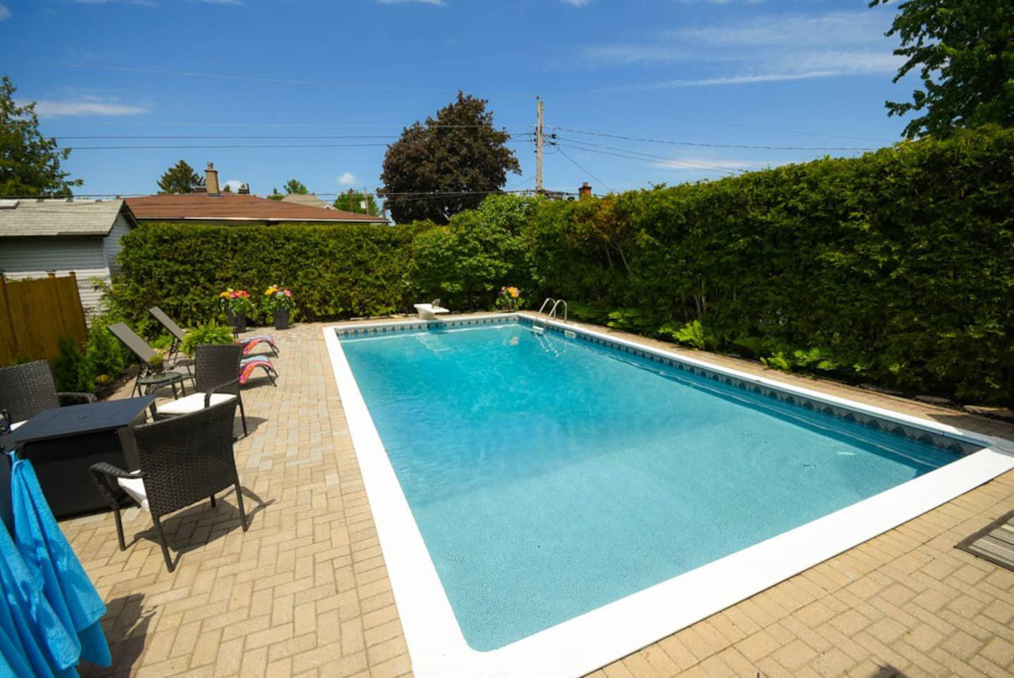 Swimming with the Elephants | Ottawa Pool Staycations