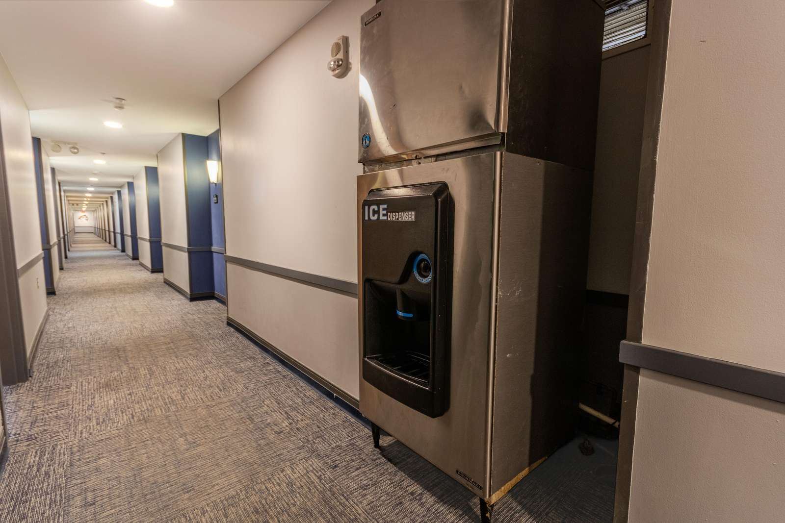 224 Expedition Station | EDH Rentals