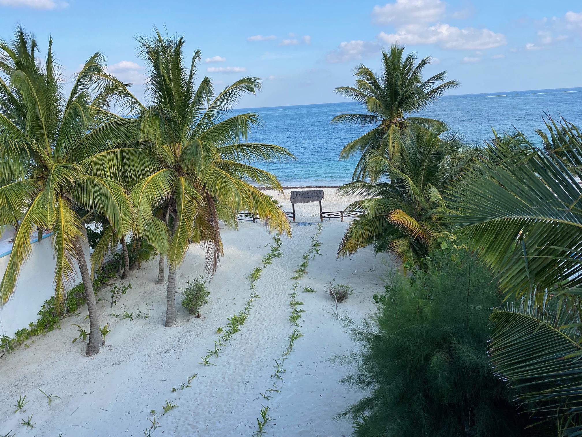 Book | Sol Sweet Sol