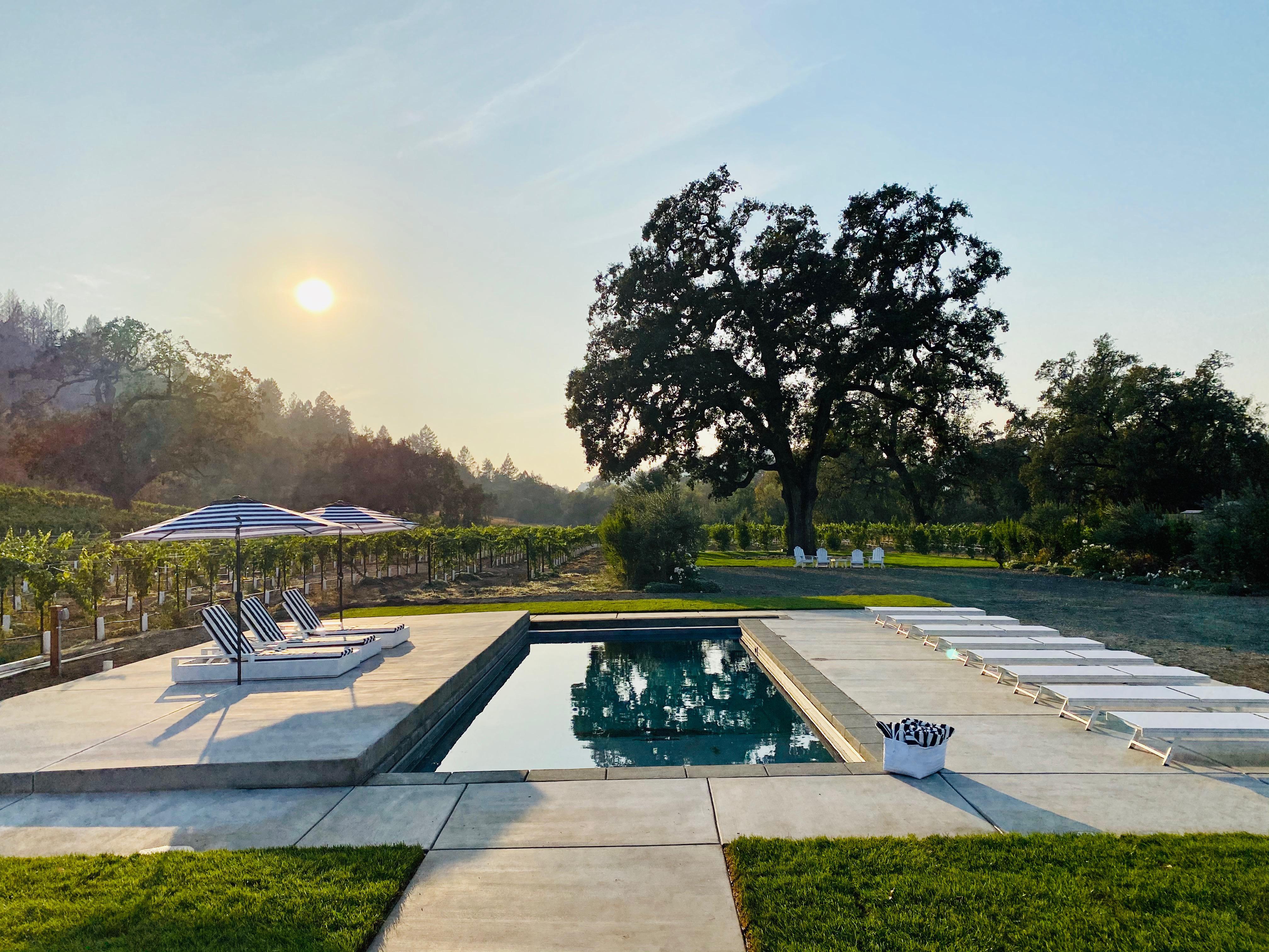 Ross Ranch & Vineyards | Mayastoga